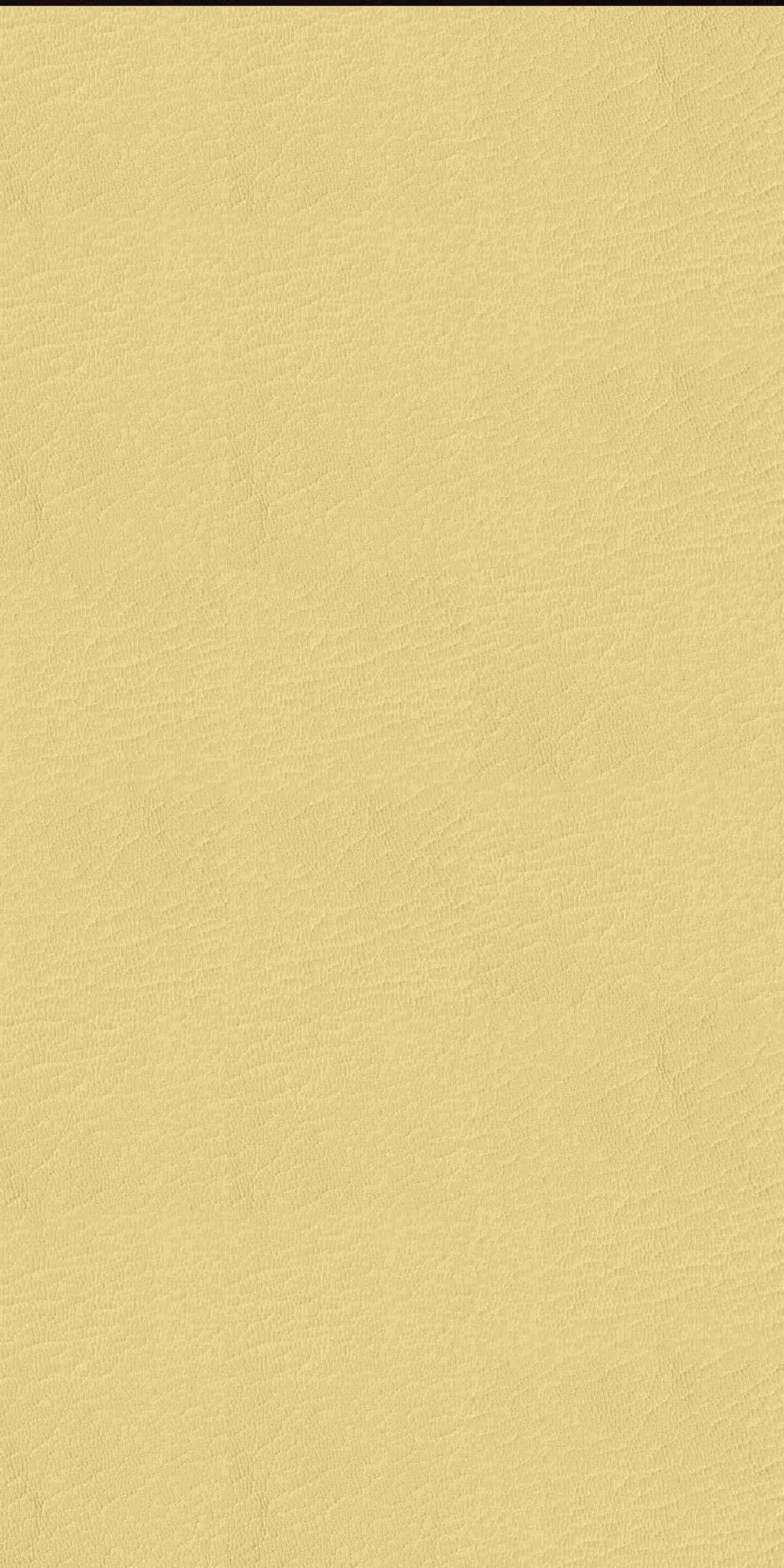 tentang produk FL 7206 SS Sand Beige Leather (A9) - Frantinco HPL ...